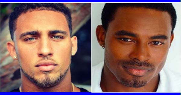 Beard styles for black men – Afroculture.net