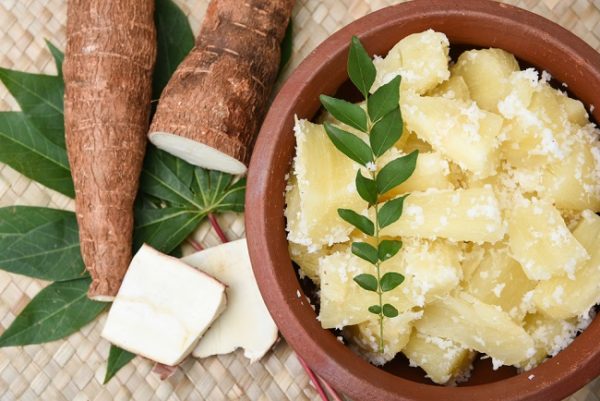 11 bienfaits du manioc pour la santé – Afroculture.net